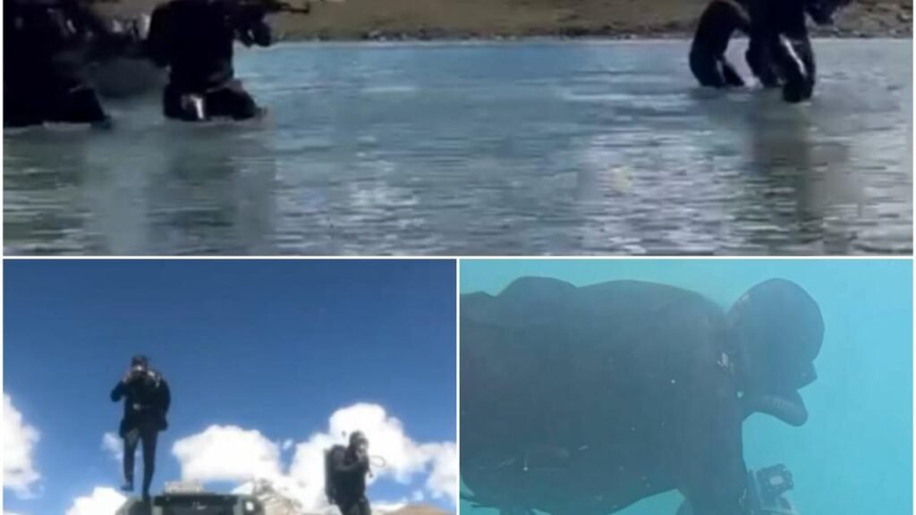 Indian Army PARA SF & Navy MARCOS Conduct High-Altitude Combat Diving ...